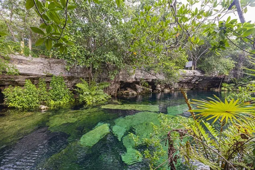 Cenote Cristalino And Cenote Azul