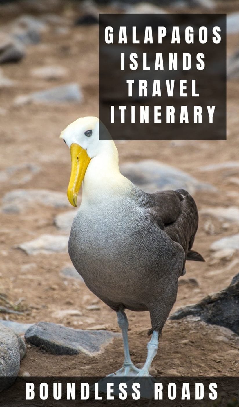 Galapagos travel itineraries: how to make the most of your time