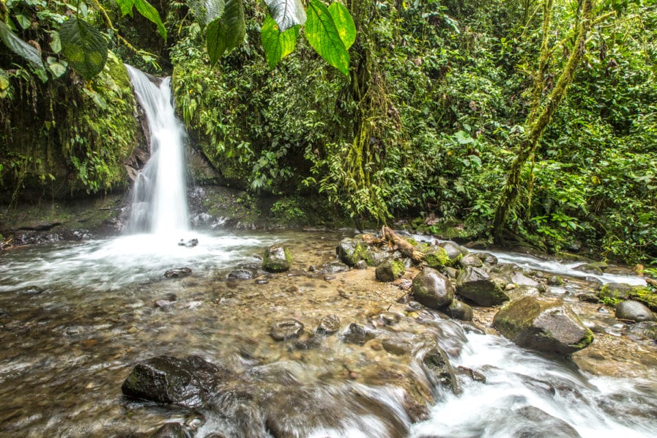 A detailed guide to Mindo Cloud Forest Ecuador | Boundless Roads