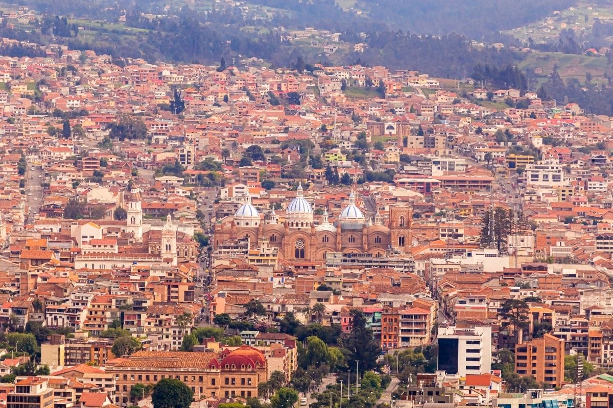 The Andean Condor: Ecuador National Animal