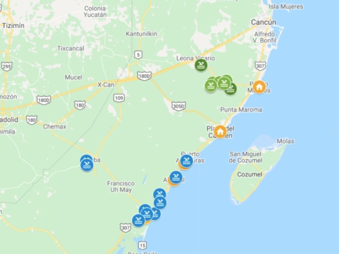 The Best 17 Cenotes of The Riviera Maya [Prices + Info]