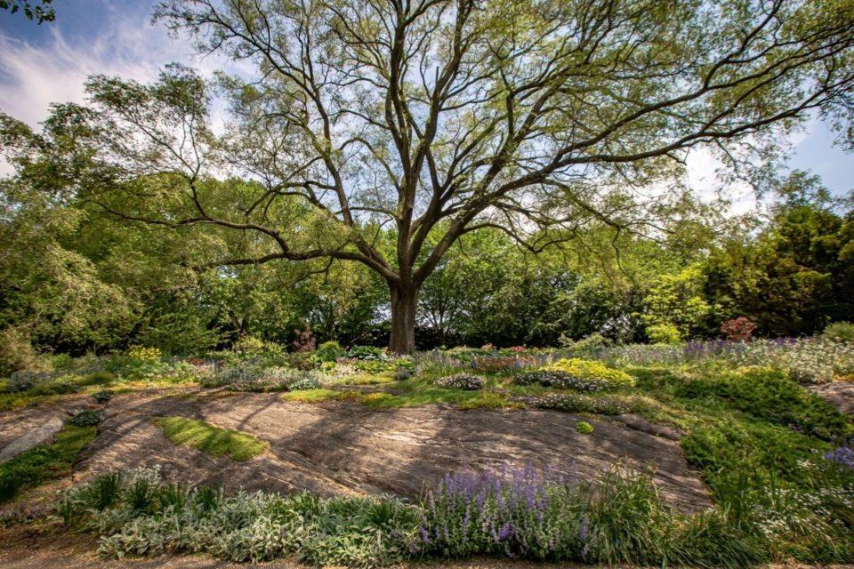 The most unique instagrammable places in NYC