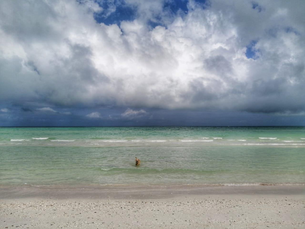 5 awesome things to do at El Cuyo, Yucatan (September 2021) - Essential ...