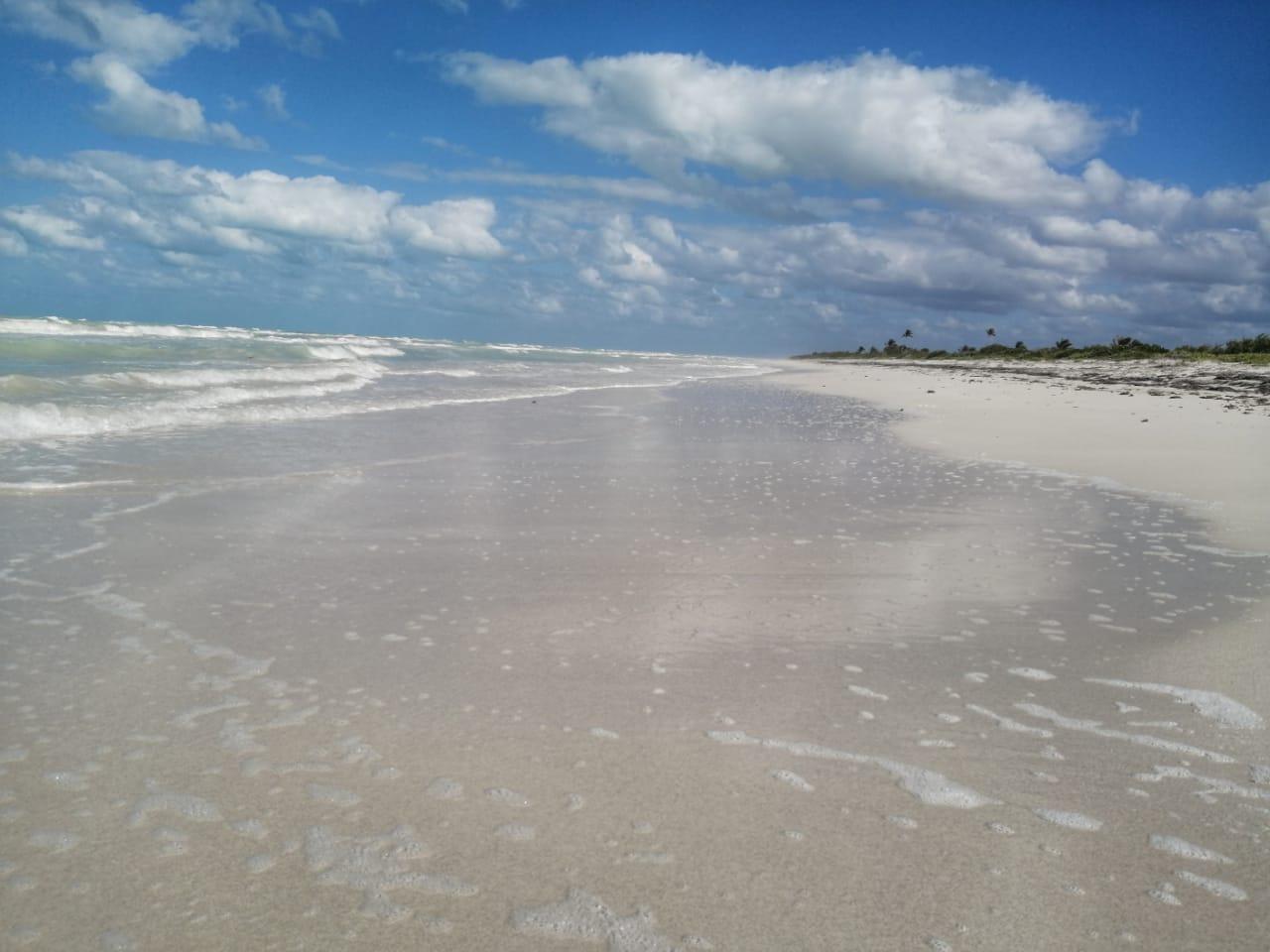 5 awesome things to do at El Cuyo, Yucatan (September 2021) - Essential ...