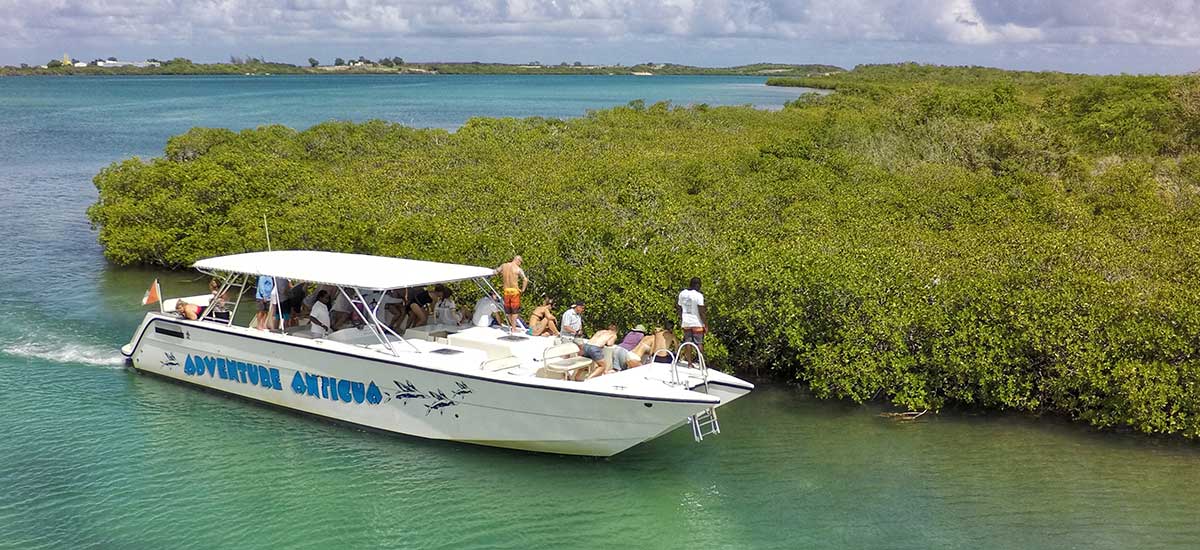 The Best Snorkeling in Antigua - 11 Amazing Spots