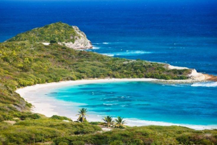 The Best Snorkeling in Antigua - 11 Amazing Spots