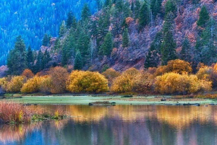 17+ Awe-Inspiring Things to Do in Southern Oregon This Year