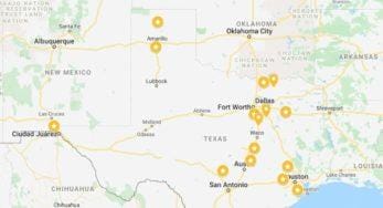 15 Magical Sunflower Fields in Texas (And Farms!) To Visit