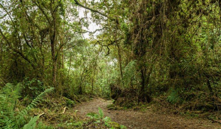 9 amazing day trips from Bogota Colombia that you cannot miss
