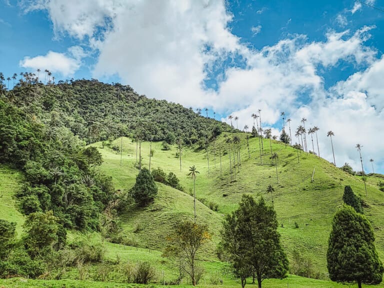 What Is Colombia Known For? 28 Amazing Facts About Colombia That Will ...