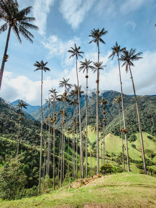 What Is Colombia Known For? 28 Amazing Facts About Colombia That Will ...