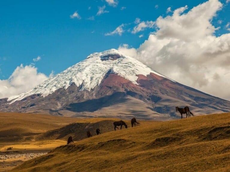 Does it Snow in Ecuador?: Places to Visit and Things to Do in Ecuador ...