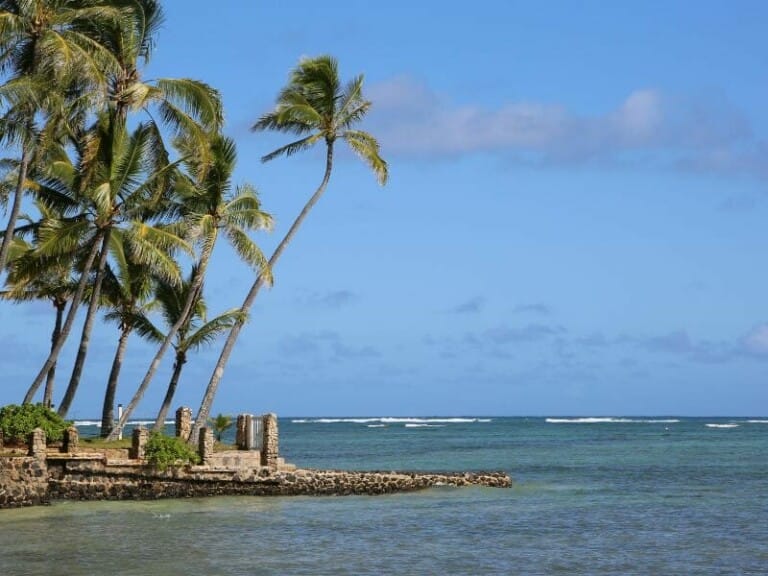 10 Breathtaking Hilo Beaches You Must Visit