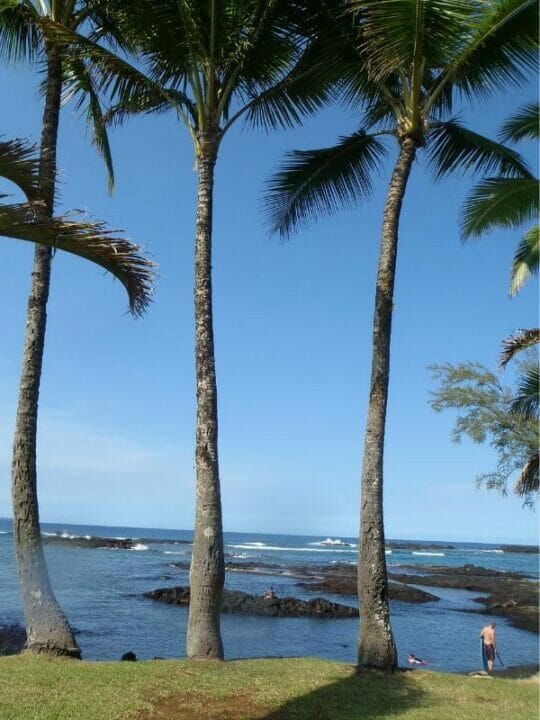 10 Breathtaking Hilo Beaches You Must Visit
