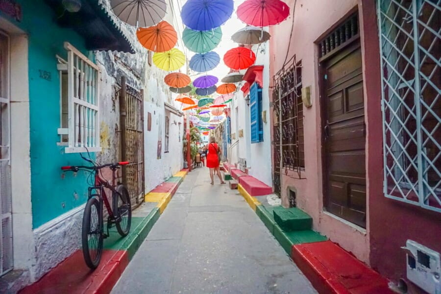 Ecuador National Flower: The Flower of the Andes (Chuquiraga jussieui)