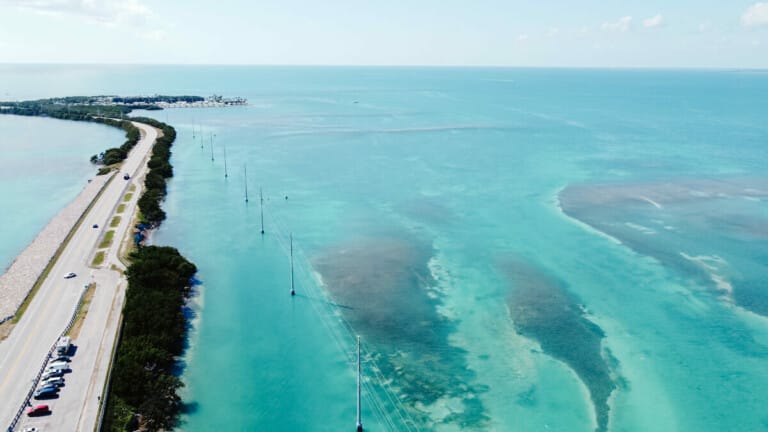 The Best Snorkeling in Florida Keys Guide: 15 Amazing Spots and Tours ...