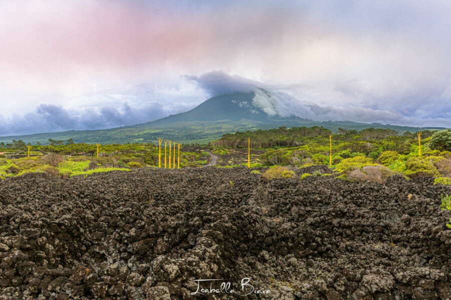 Pico Island Azores: 17 Amazing Things to do + Travel Tips