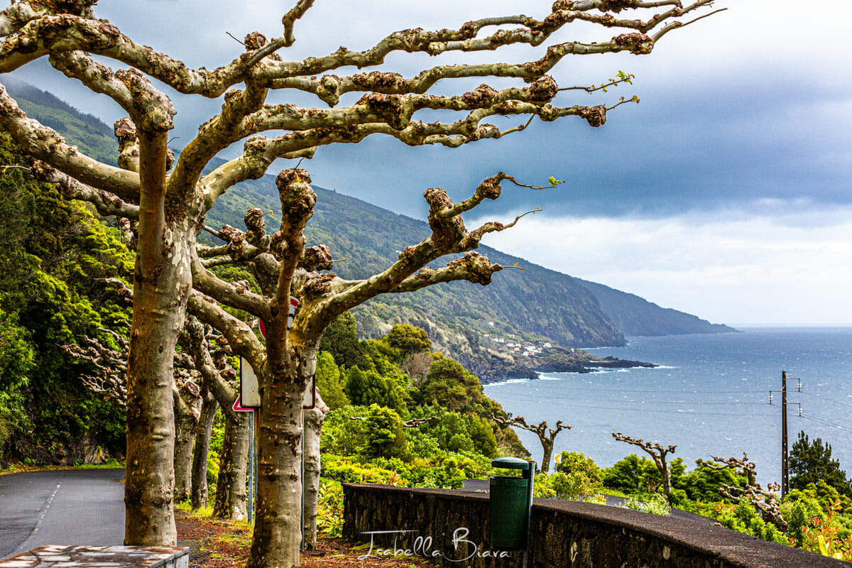 Pico Island Azores: 17 Amazing Things to do + Travel Tips