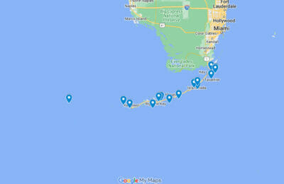 The Best Snorkeling in Florida Keys Guide: 15 Amazing Spots and Tours ...