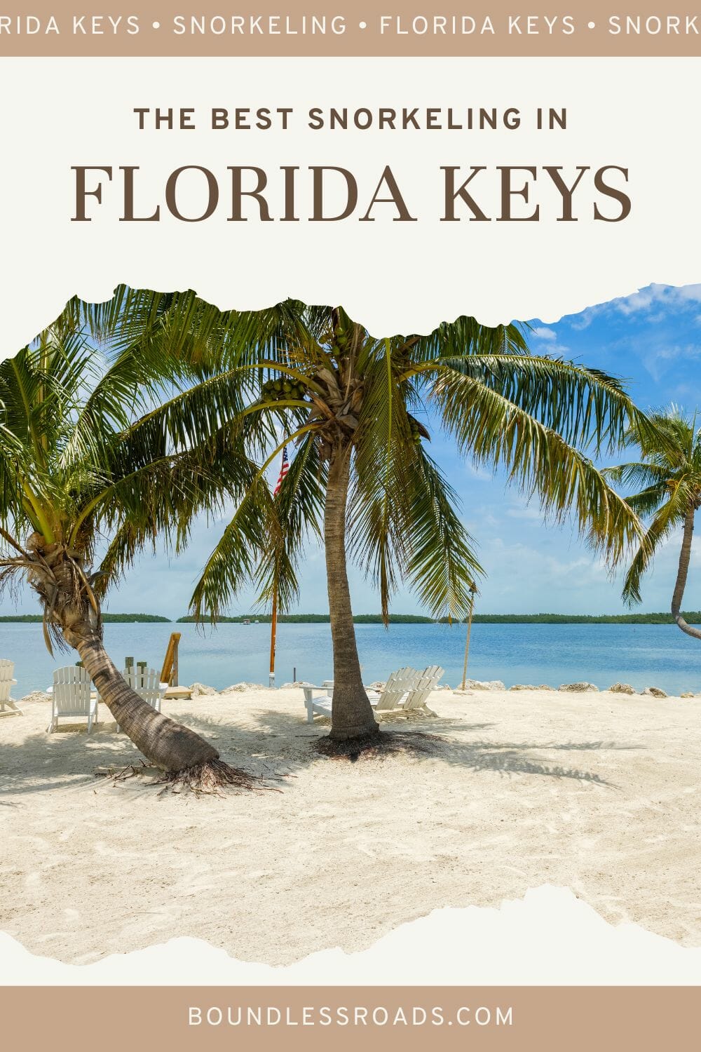 The Best Snorkeling in Florida Keys Guide: 15 Amazing Spots and Tours ...