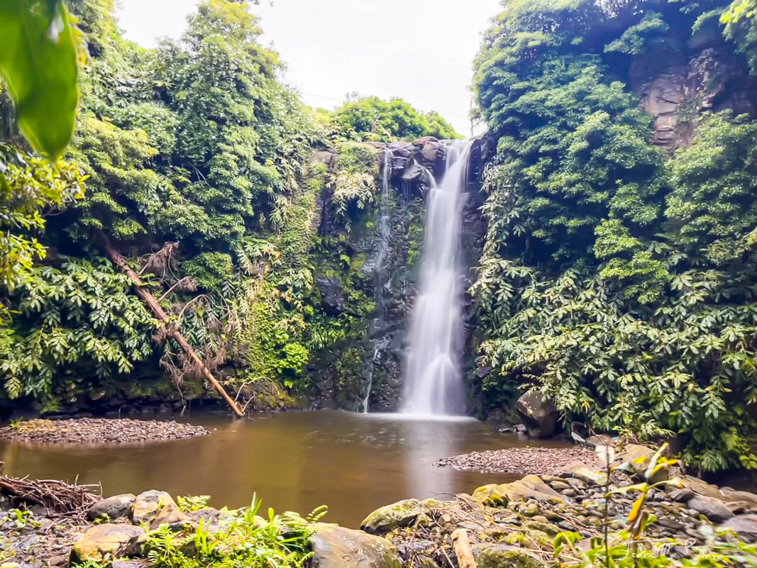 Sao Jorge Azores: A Complete Guide to the Island of Fajas