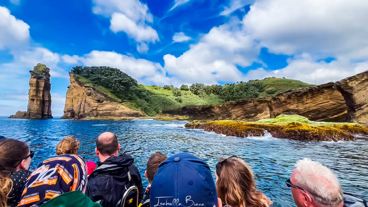 The Best Whale Watching in the Azores: When and where to Go