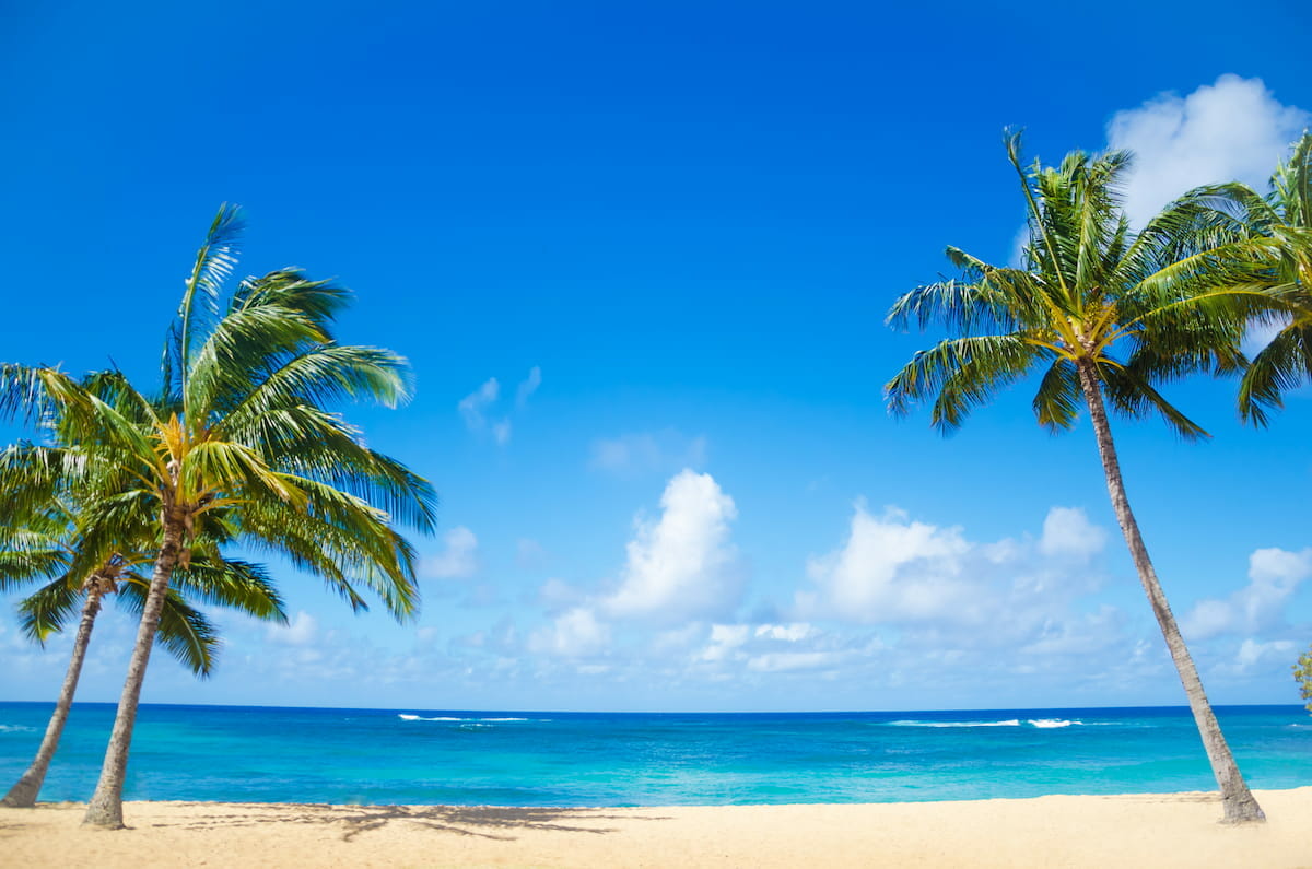 The Best Time to Visit Kauai Hawaii for Weather and Things to Do