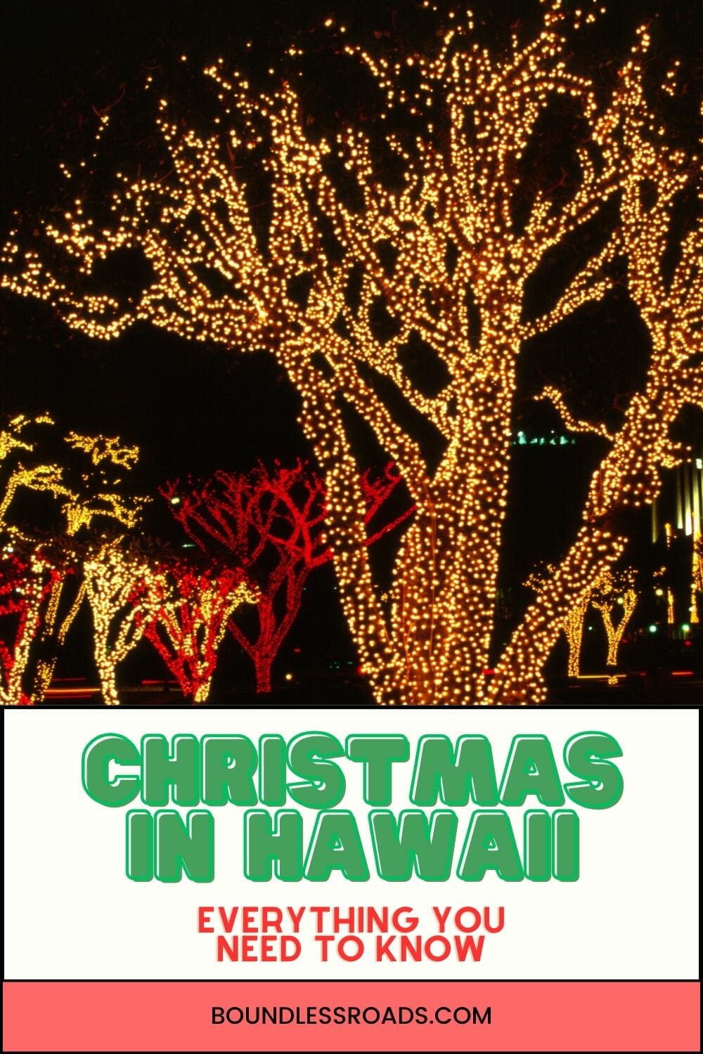 Spend a Magical Christmas in Hawaii: 15 Fun Facts!