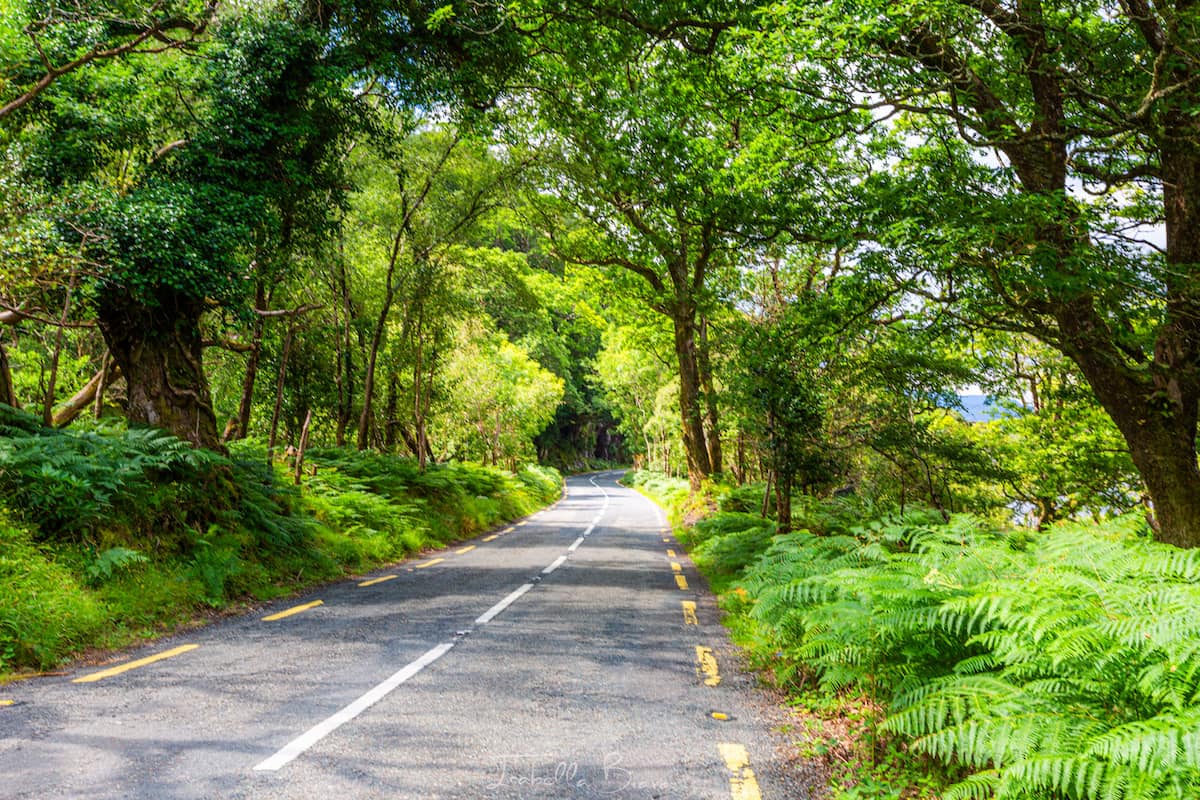 The Ring of Kerry Drive: Best Stops and Info