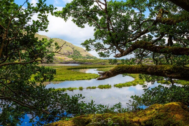 The Ring of Kerry Drive: Best Stops and Info