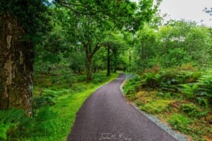 The Ring of Kerry Drive: Best Stops and Info