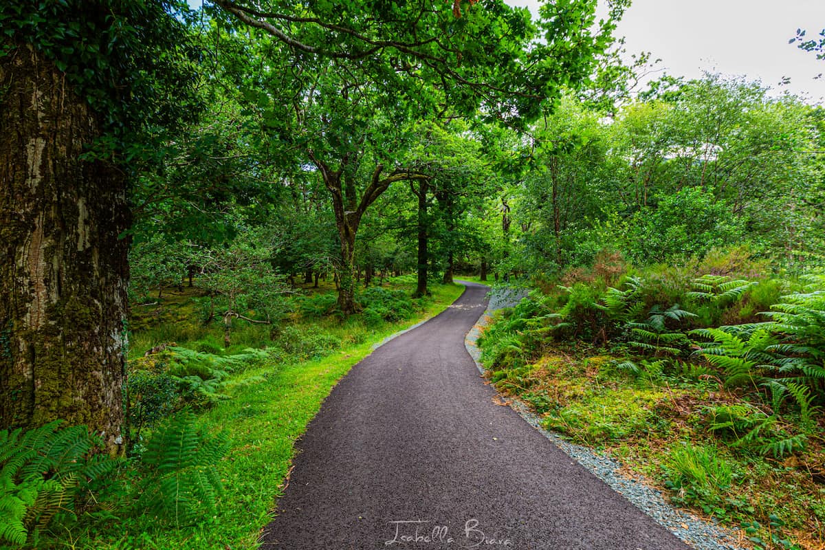 The Ring of Kerry Drive: Best Stops and Info