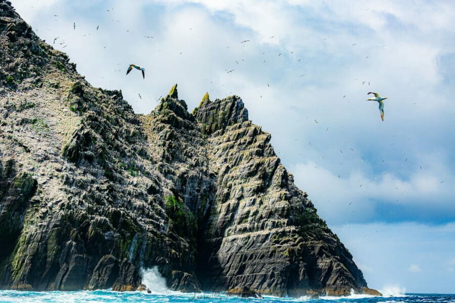 7 Best Skellig Island Tours for the Best Irish Experience