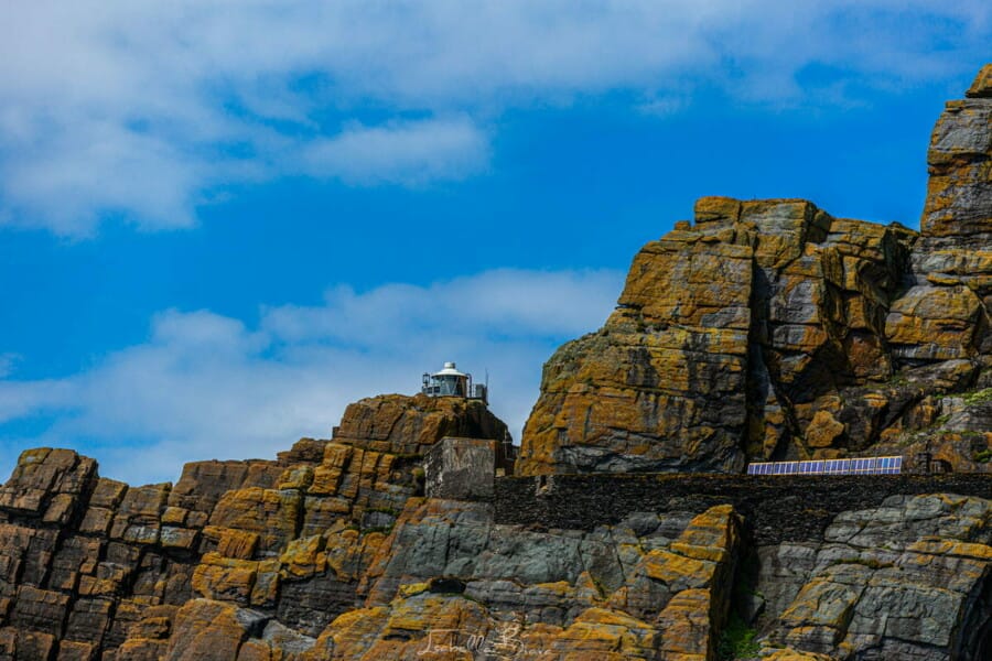 7 Best Skellig Island Tours for the Best Irish Experience