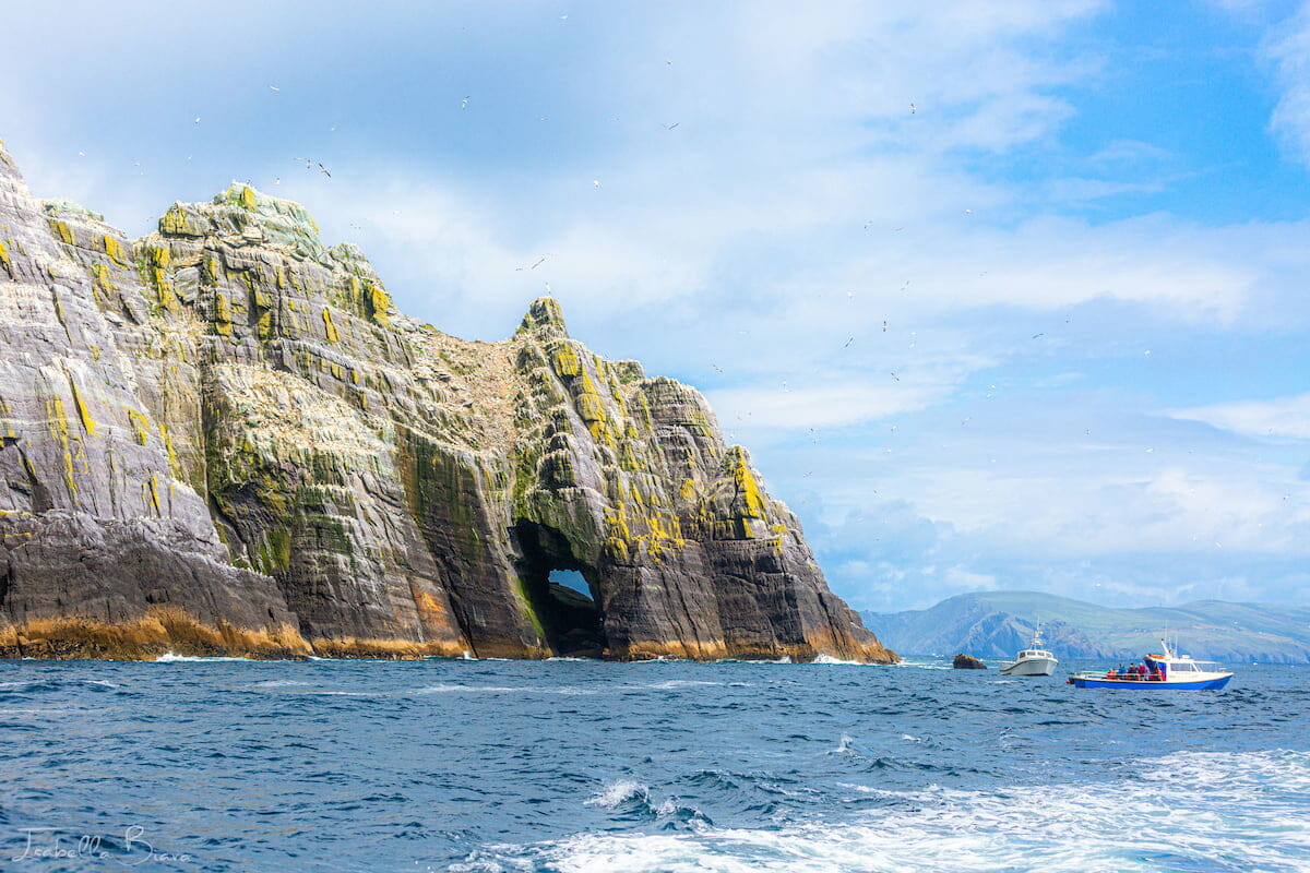 7 Best Skellig Island Tours for the Best Irish Experience