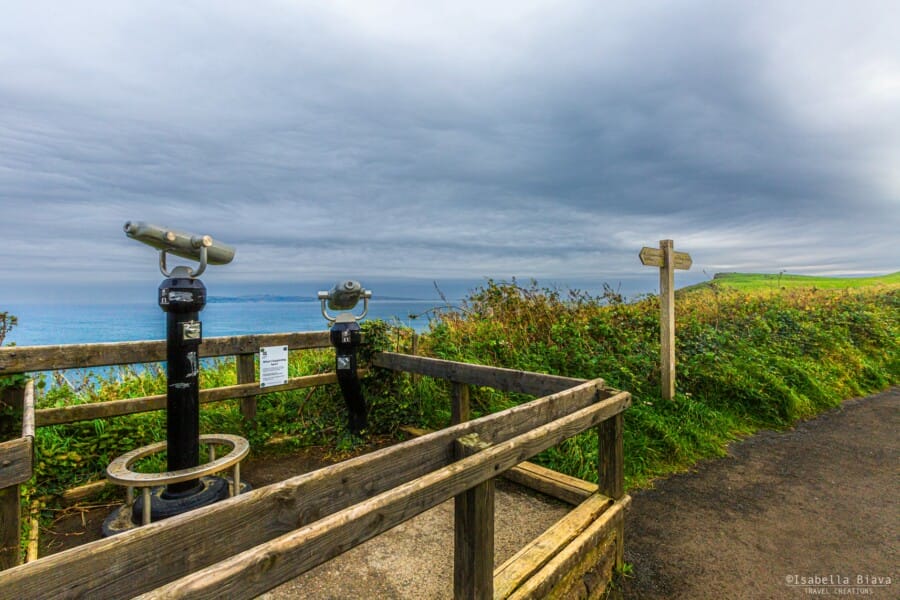 Carrick-a-Rede Complete Guide: Price and Info