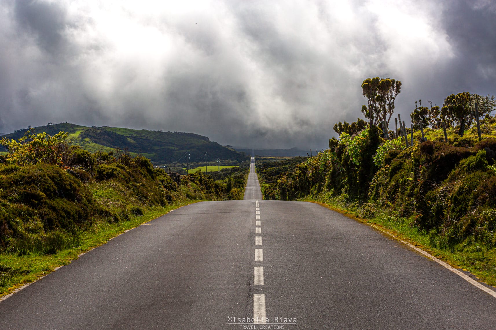 Pico Island Azores: 17 Amazing Things to do + Travel Tips
