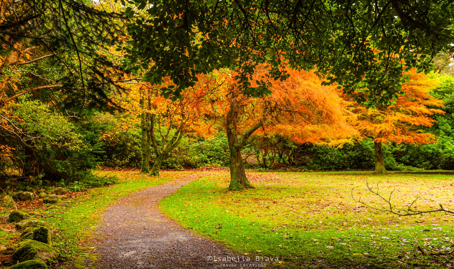 Ireland in October: Weather, Things to Do & Travel Tips | Boundless Roads