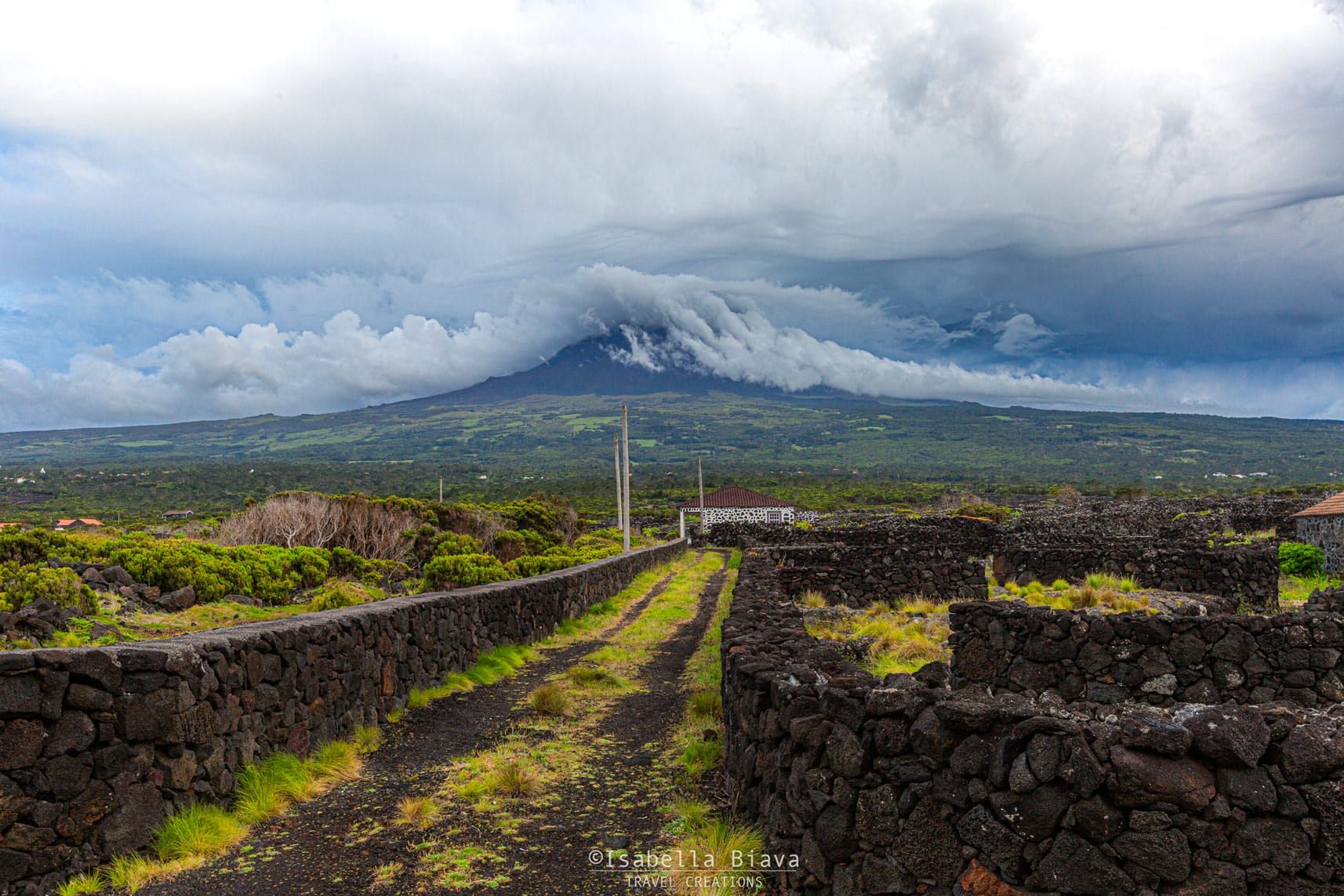 Pico Island Azores: 17 Amazing Things to do + Travel Tips