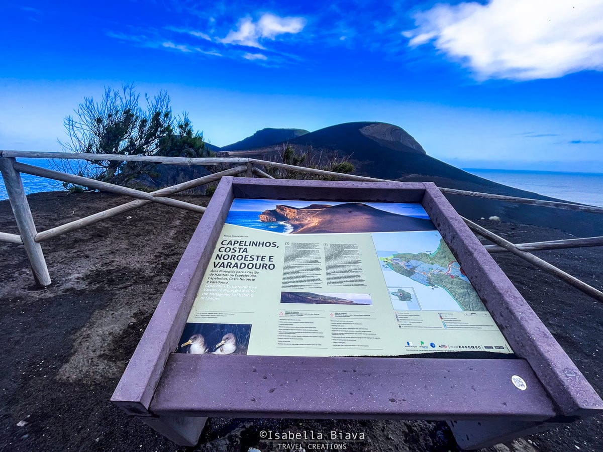 15 Best Things to Do in Faial, Azores Portugal and Top Tours
