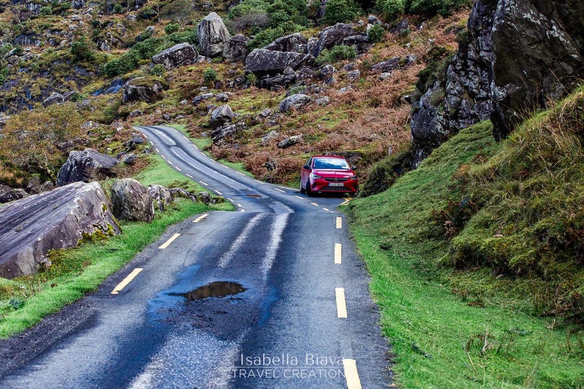The Best Snorkeling in Florida Keys Guide: 15 Amazing Spots and Tours ...