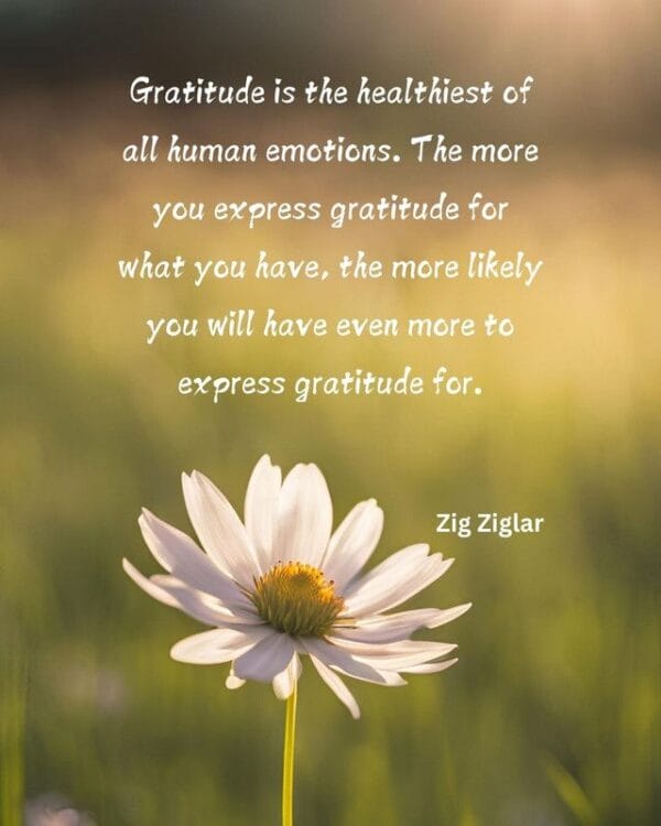 100 Powerful Gratitude Quotes to Shift Your Mindset and Transform Your ...