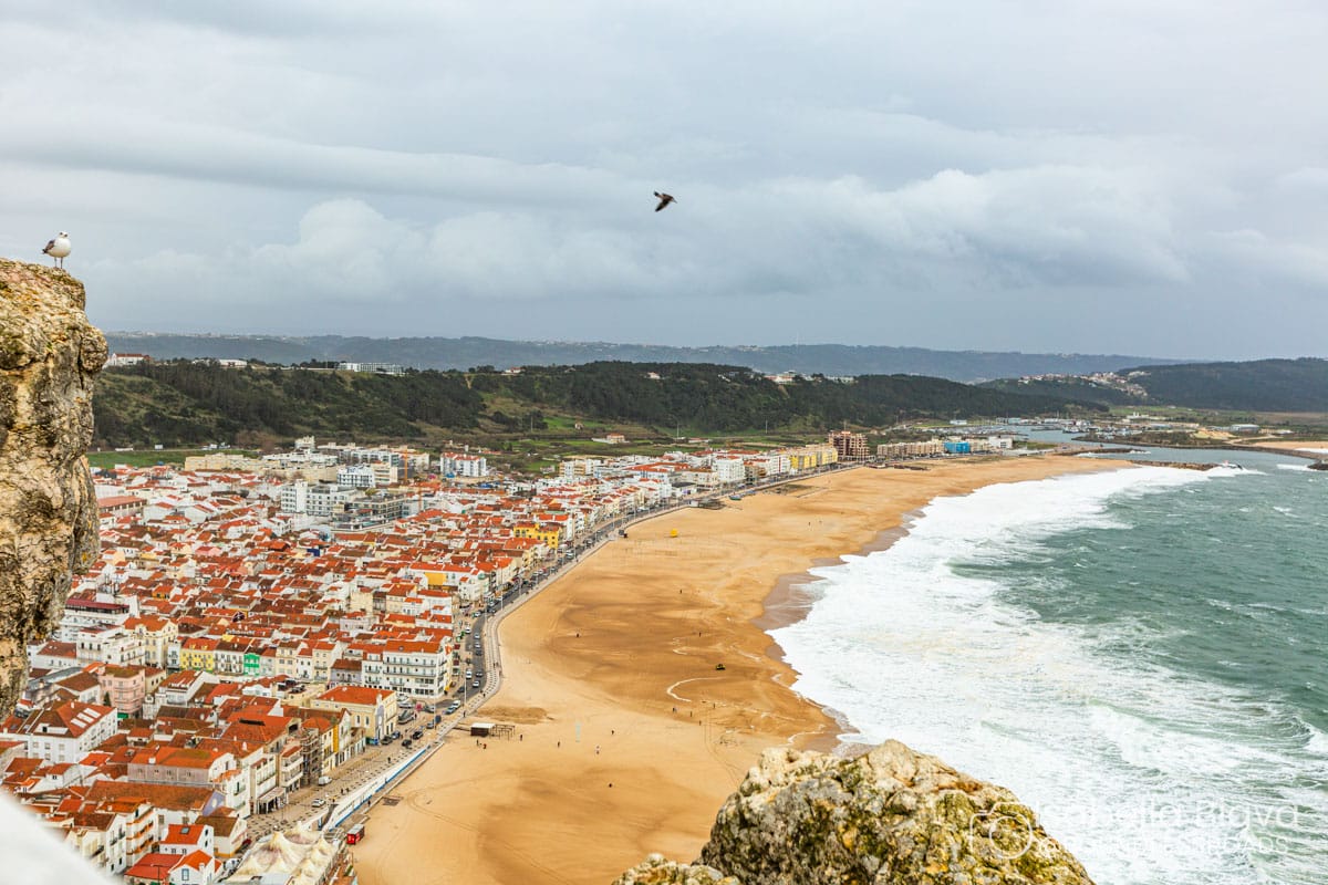 From Surf Legends to Secret Viewpoints and Local Traditions: The Best ...